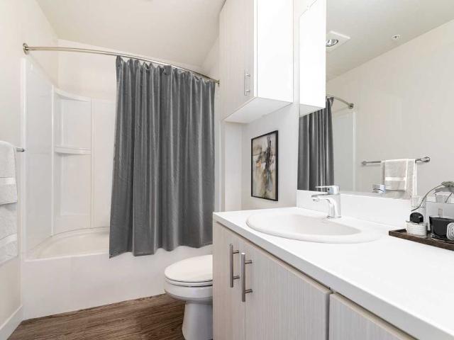 Acqua Studio Apartment for Rent at 2615 S Water Ave, Portland, OR 97201 Corbet Terwilliger Lair Hill