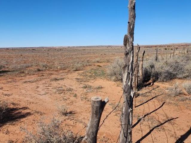 Acr 5152 Acres, Concho, AZ 85924