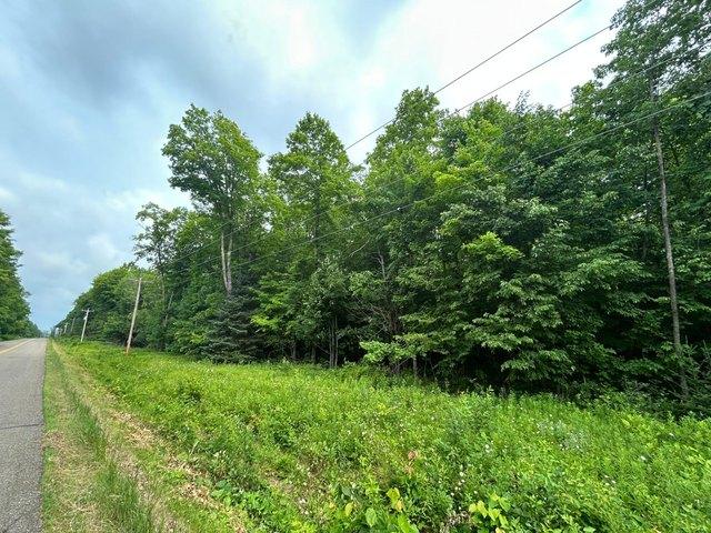 Acreage Cth # T, Pearson, WI 54462