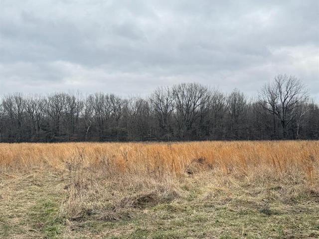 Acres Woodsprings Road