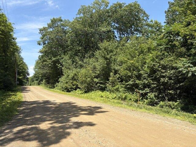 Acres Belden Woods Rd, Palermo, Plot For Sale