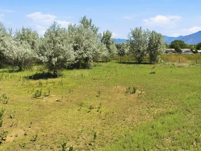 Acres Cordillera Tract C # 3A, Ranchos de Taos, NM 87557