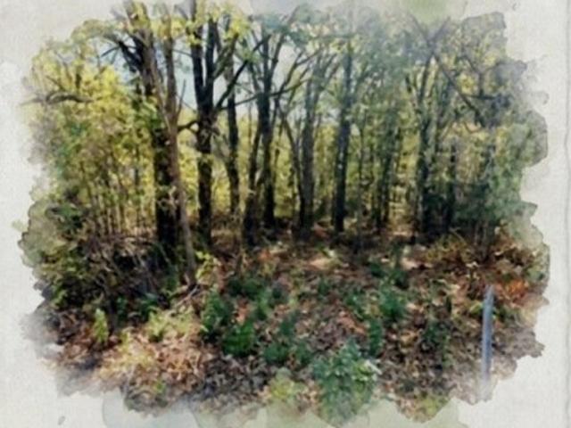 Acres Loop, Gun Barrel City, TX 75156