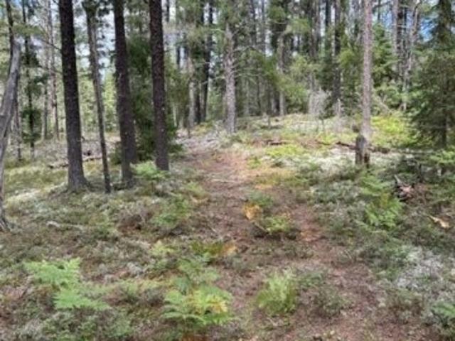 Acres Off County Road Rd, Ishpeming, Plot For Sale