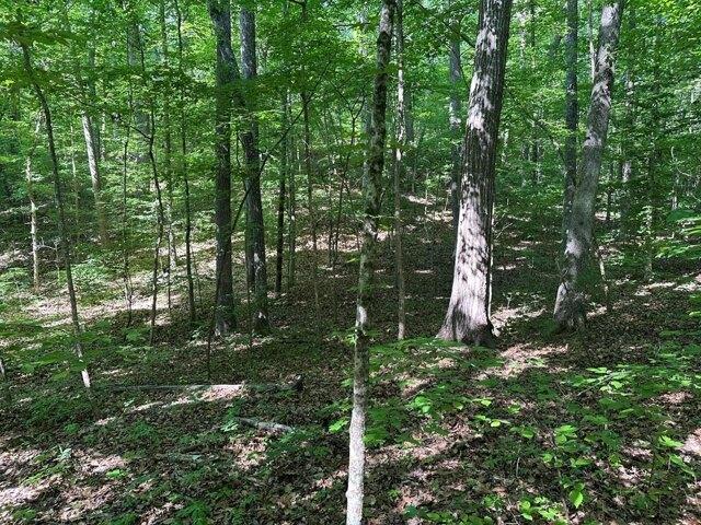 Acs Monacarn Ct, Clarksville, Plot For Sale
