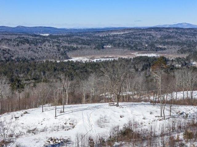 Acton ME 04001 LS102478744