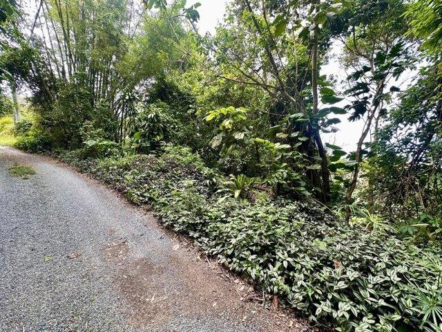 Aa Lerkenlund Gns, Saint Thomas, Plot For Sale