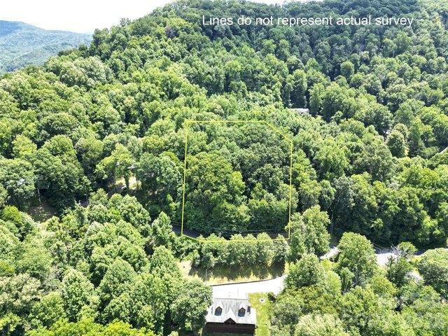 Aaron Way Unit 21, Waynesville, NC 28786