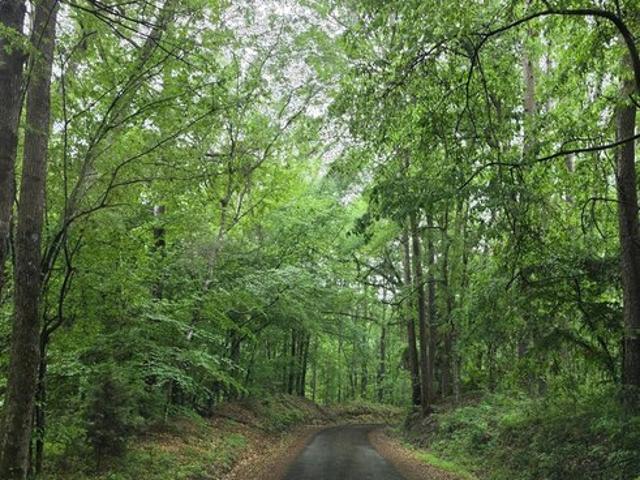 Ab 399 C County Road 405, San Augustine, TX 75972