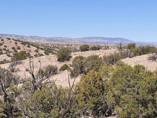 Abbe Spgs Lot 124, Magdalena, NM 87825
