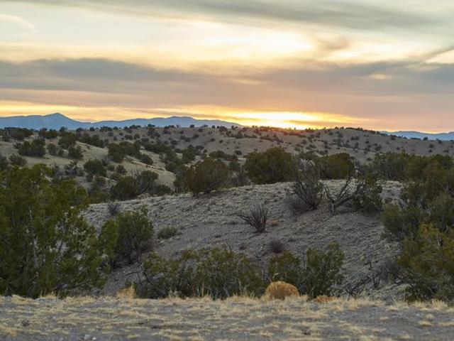 Abbe Springs Rnch Lot 115, Magdalena, NM 87825