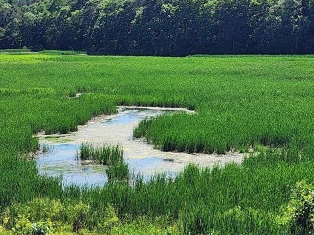 Abbey Gate Rd, Barnstable, Home For Sale