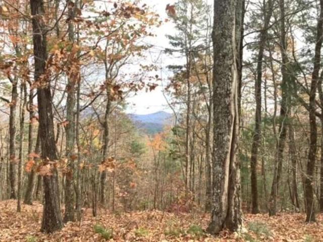 Abbott Mill Rd Lot 17, Ellijay, GA 30540