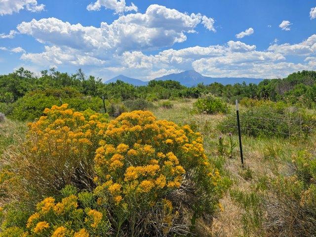 Abeyta Acres Crk Lot 19, La Veta, CO 81055
