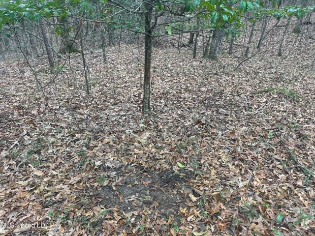 Aberdeen Road, Natchez, MS 39120