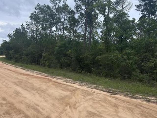 Abraham St, Alford, FL 32420
