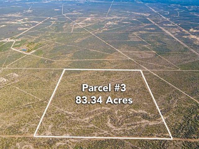 Abst 209 J V Borrego Parcel 3, Zapata, TX 00000