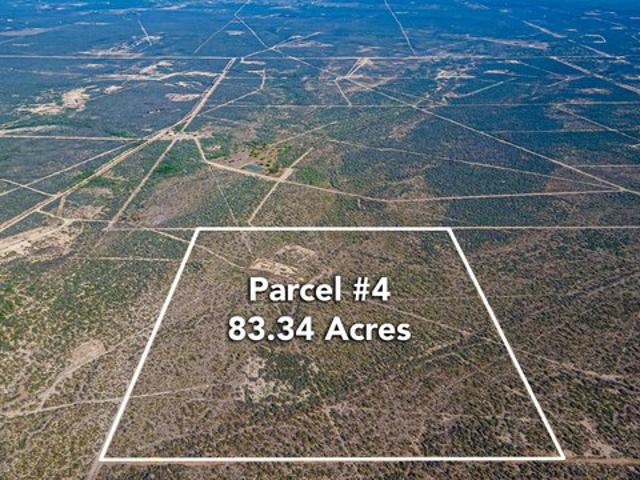 Abst 209 J V Borrego Parcel 4, Zapata, TX 00000