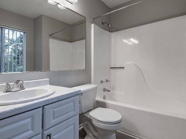 Agora at Port Richey 1 Bedroom Apartment for Rent at 8228 Chasco Woods Blvd, Port Richey, FL 34668