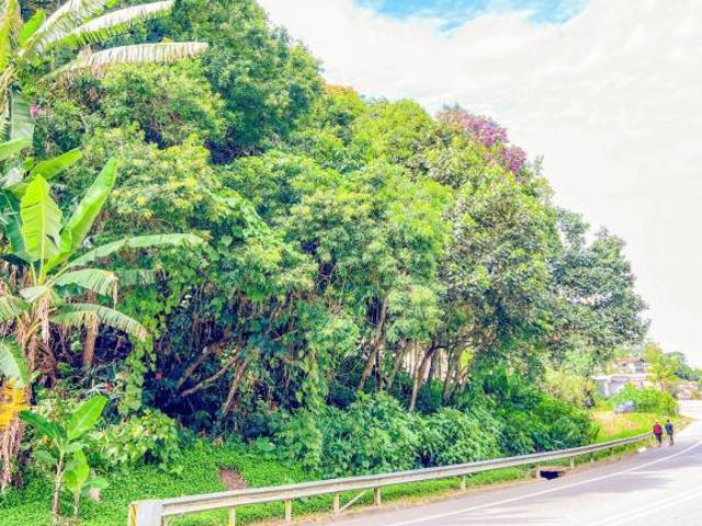 Excelente terreno comercial para venda em Santa Luzia, 700m²