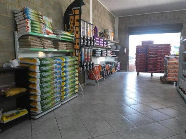 Agropecuária Artur Nogueira, funcionando, aceito carro negócio ótima localização