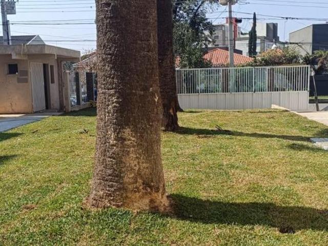 Água Verde: Apartamento Novo, 3 Suítes, 128m²