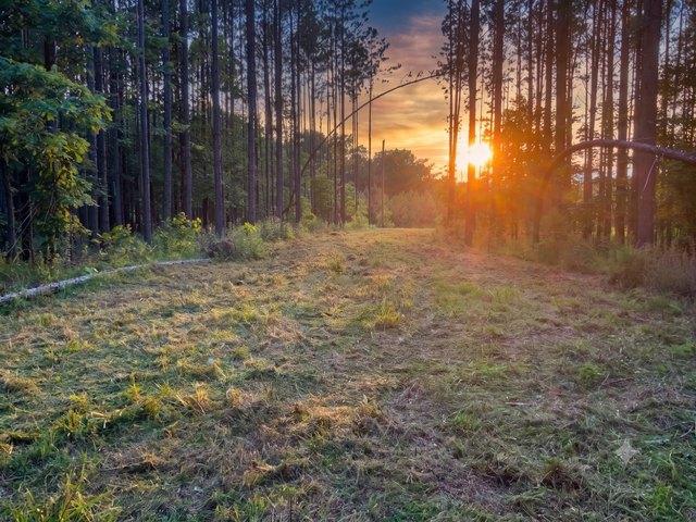 Adaleighs Way, Big Sandy, TN 38221