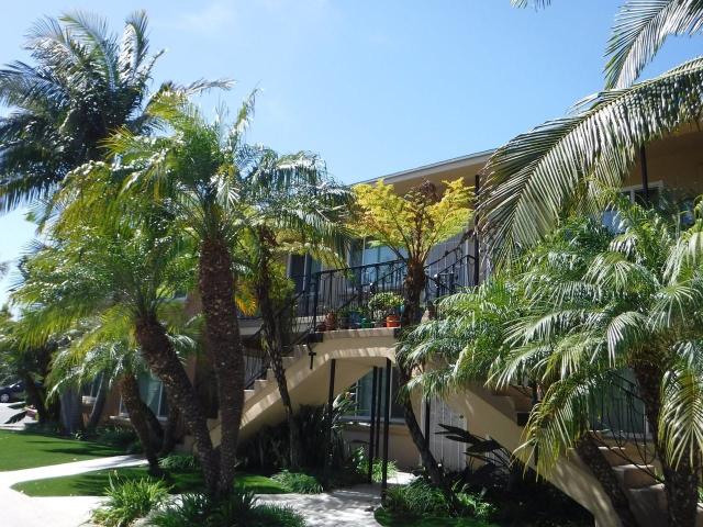 Adams 1 Bedroom Apartment for Rent at 3810 Adams Ave, San Diego, CA 92116 Adams North