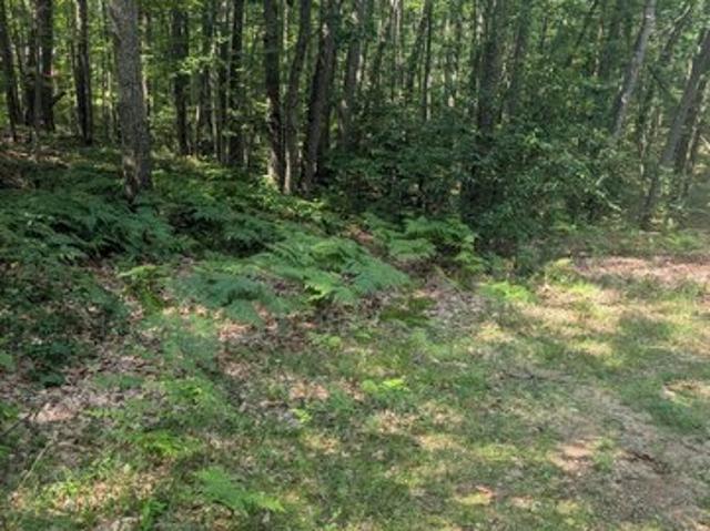 Adams Blvd Lot 8 12, Roscommon, MI 48653