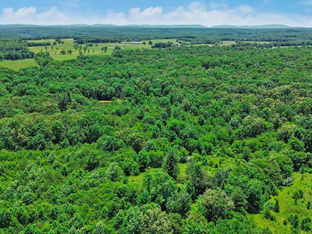 Adams Creek Rd, Crossville, TN 38571