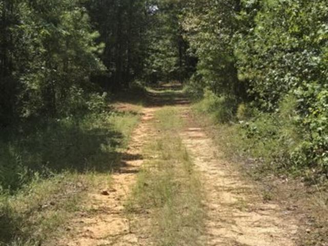 Adams Rd, Bankston, AL 35542