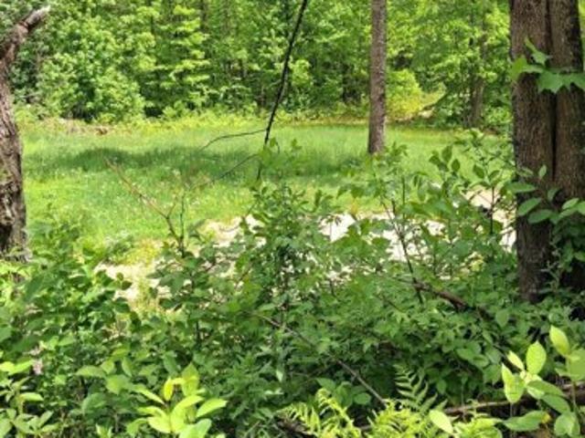 Adams Rd, Chesterville, Plot For Sale