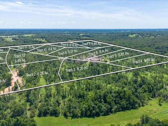 Adams Rd Lot 12, Goodman, MO 64843