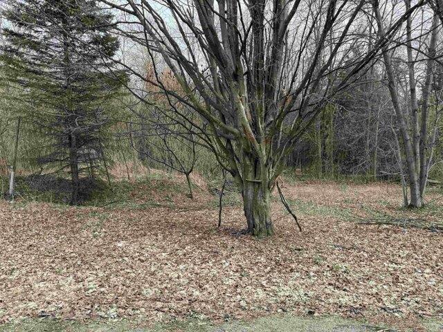 Adams School Rd, Grand Isle, Plot For Sale