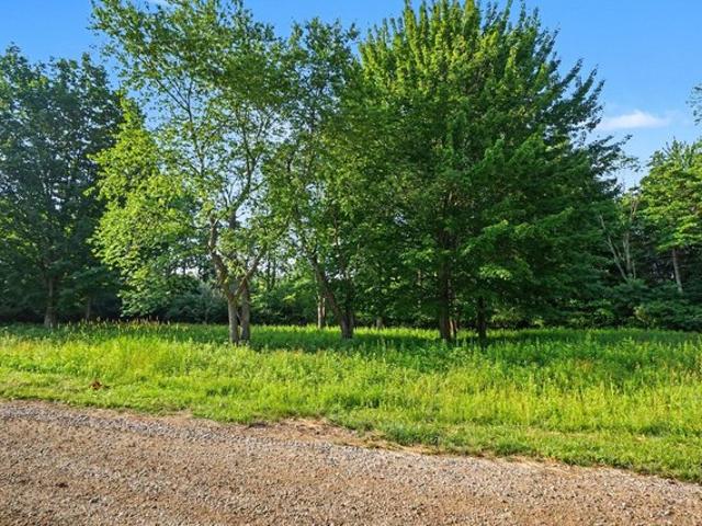 Adams St Lot 13 15, South Haven, MI 49090