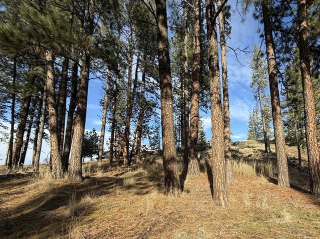 Adams St, Republic, WA 99166