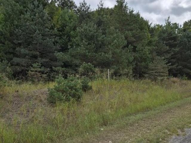 Adamson Lake Rd, Kaleva, MI 49645