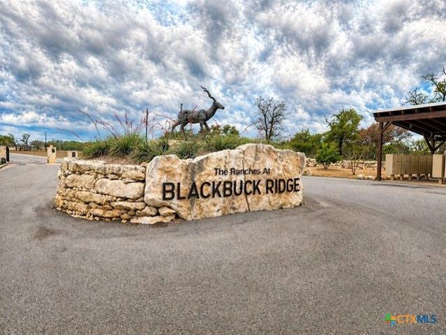 Addax Ct Lot 162, Lampasas, TX 76550