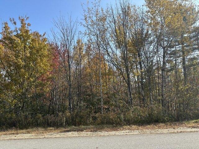 Addie Rd, Ellsworth, Plot For Sale