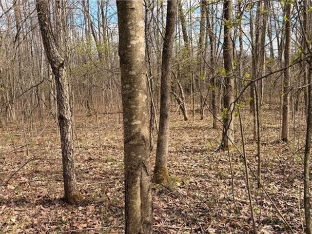 Addison Rd, Brookfield, OH 44438