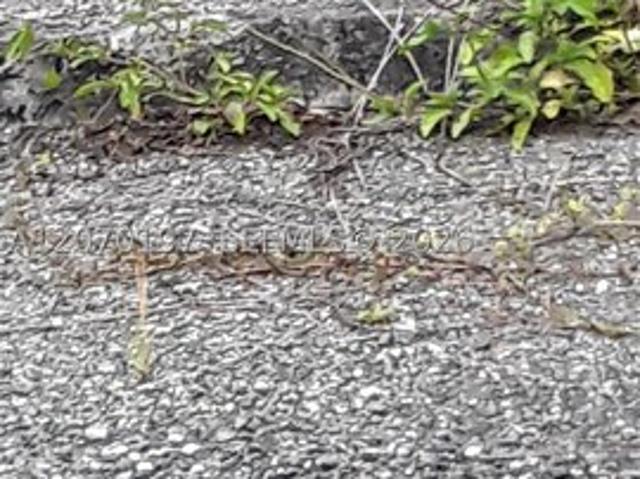 Address Not Available, FL