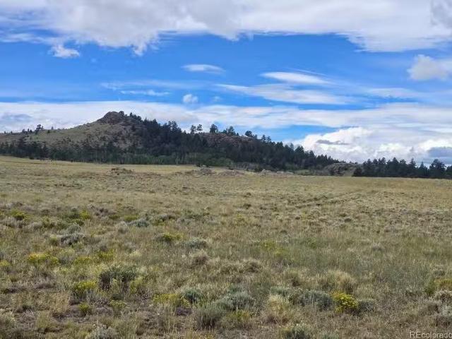 [Address not provided], Lake George, CO MLS 6872355