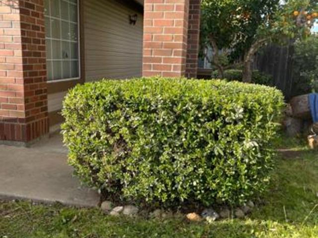 [Address not provided], Sacramento, CA 95829