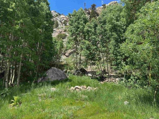 Address Unassigned Carson St, June Lake, CA 93529