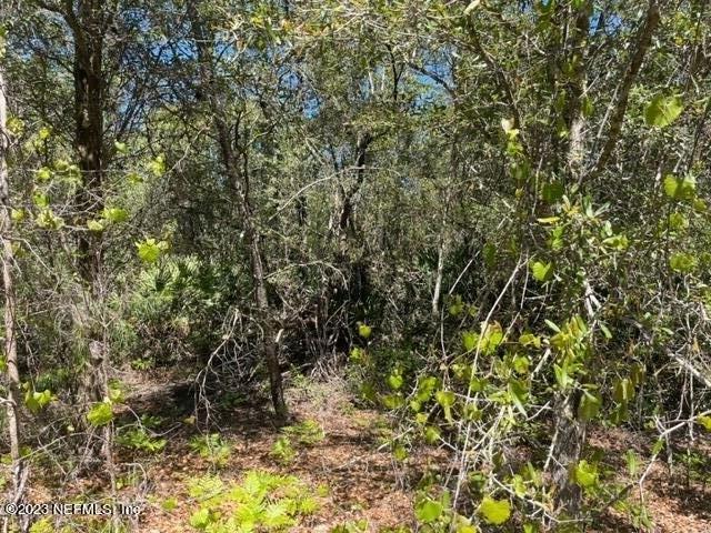 Address Unassigned Address, Florahome, FL 32140