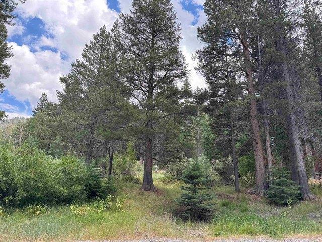 Address Unassigned Aspen Grove Ln, June Lake, CA 93529