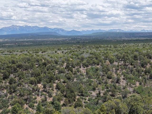 Address Unassigned Juniper Dr, Norwood, CO 81423