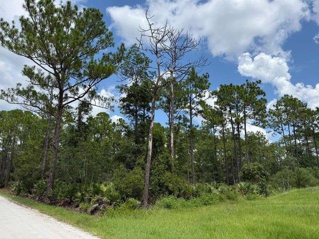 Address Unassigned Pkwy E, Deland, FL 32724