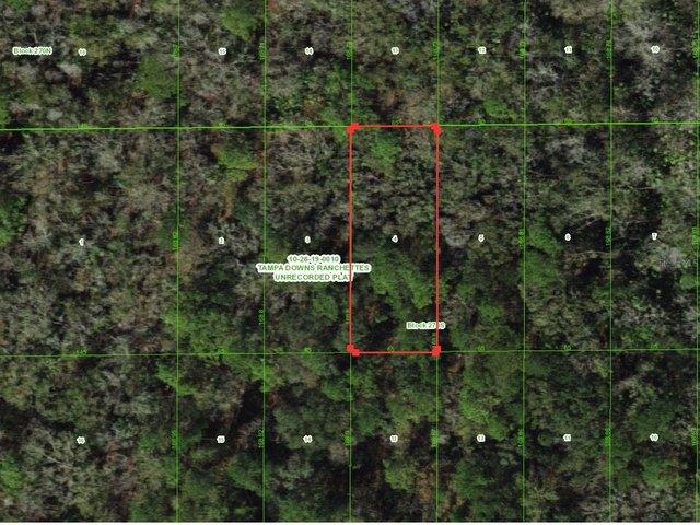 Address Unassigned, Wesley Chapel, FL 33544