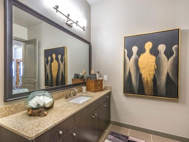 Adenine 1 Bedroom Apartment for Rent at 1755 Wyndale St, Houston, TX 77030 Medical Center